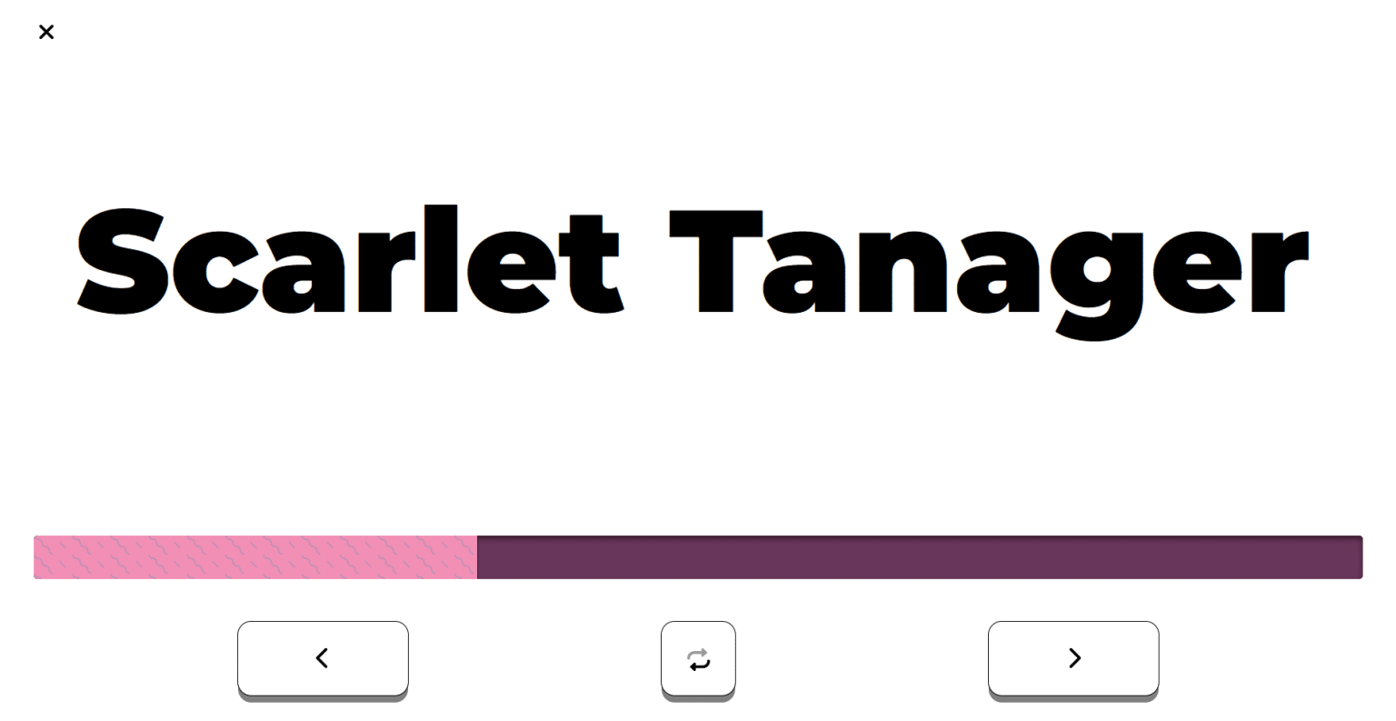 Quick Cards Relaunch: Redesign and Accessibility Features